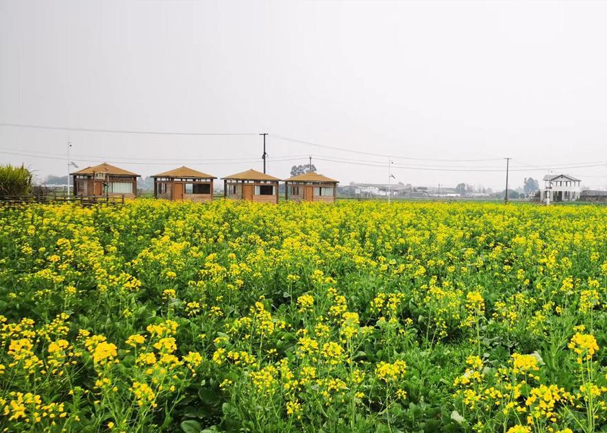 Electric heat tracing belt aids applications in forest areas